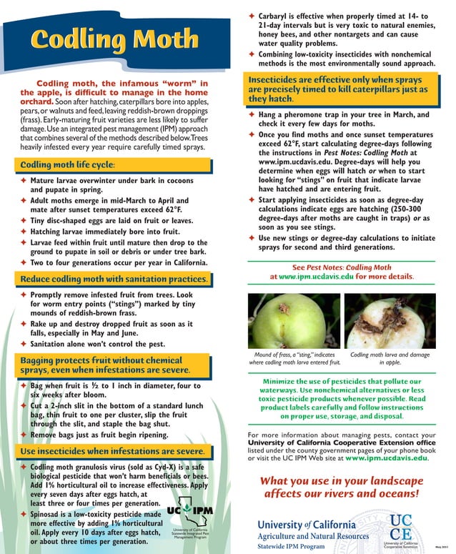 Codling Moth Quick Tips Natural Pest Control | PDF | Beekeeping ...