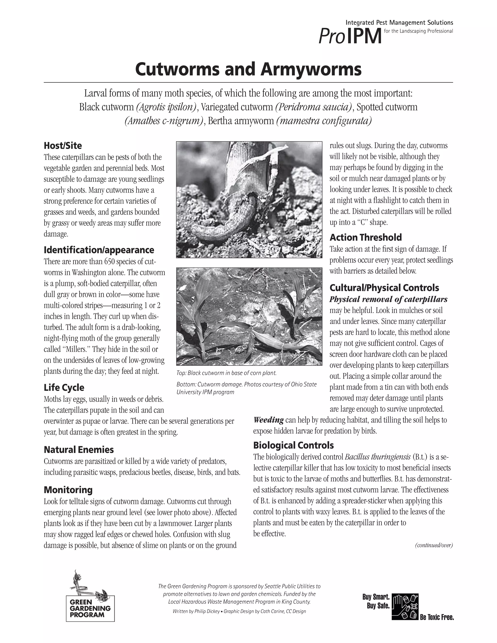 Cutworms and Armyworms Integrated Pest Management | PDF