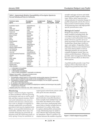 Eucalyptus Redgum Lerp Psyllid Integrated Pest Management | PDF