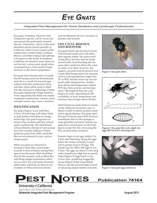Eye Gnats Integrated Pest Management | PDF