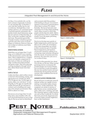 Fleas Integrated Pest Management | PDF
