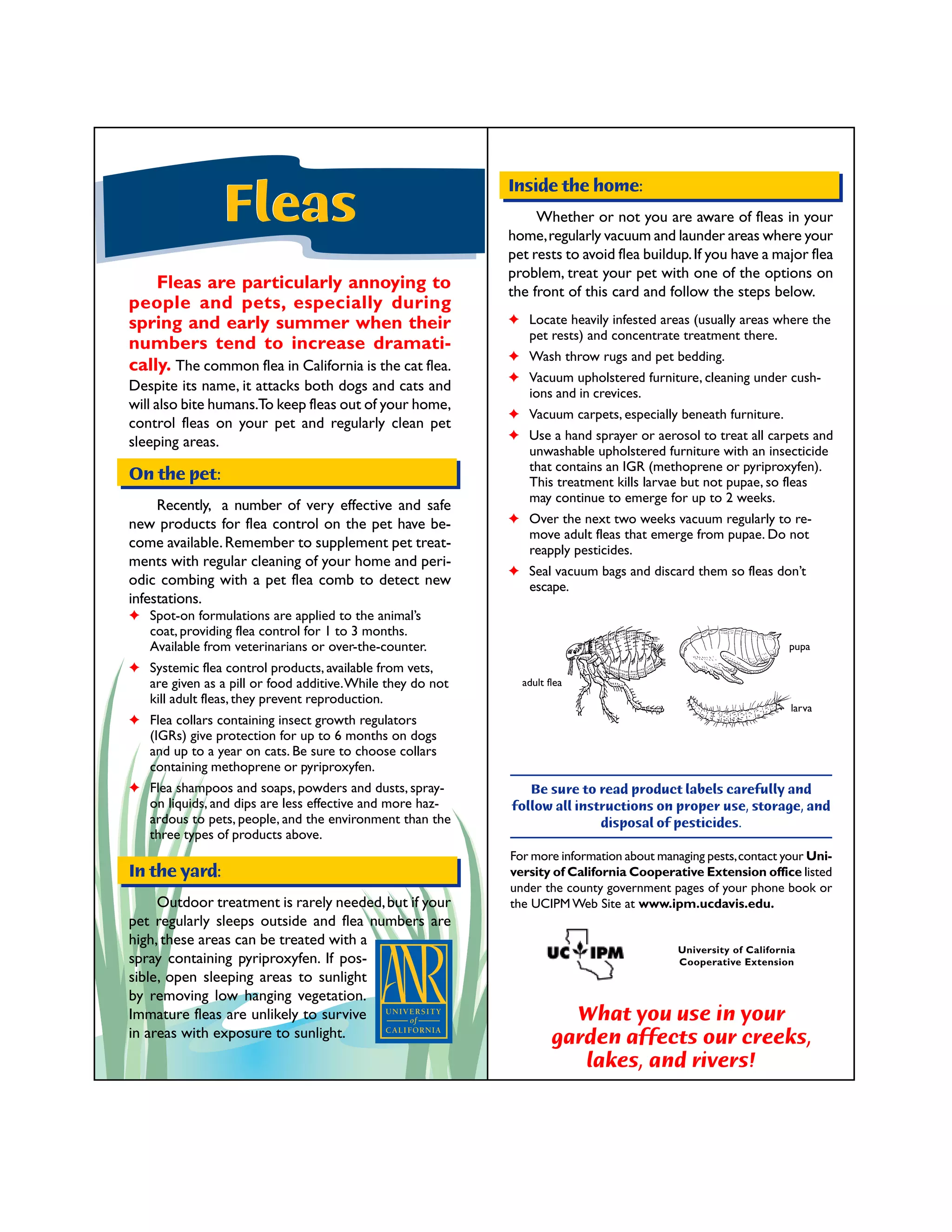 Fleas Quick Tips Natural Pest Control | PDF