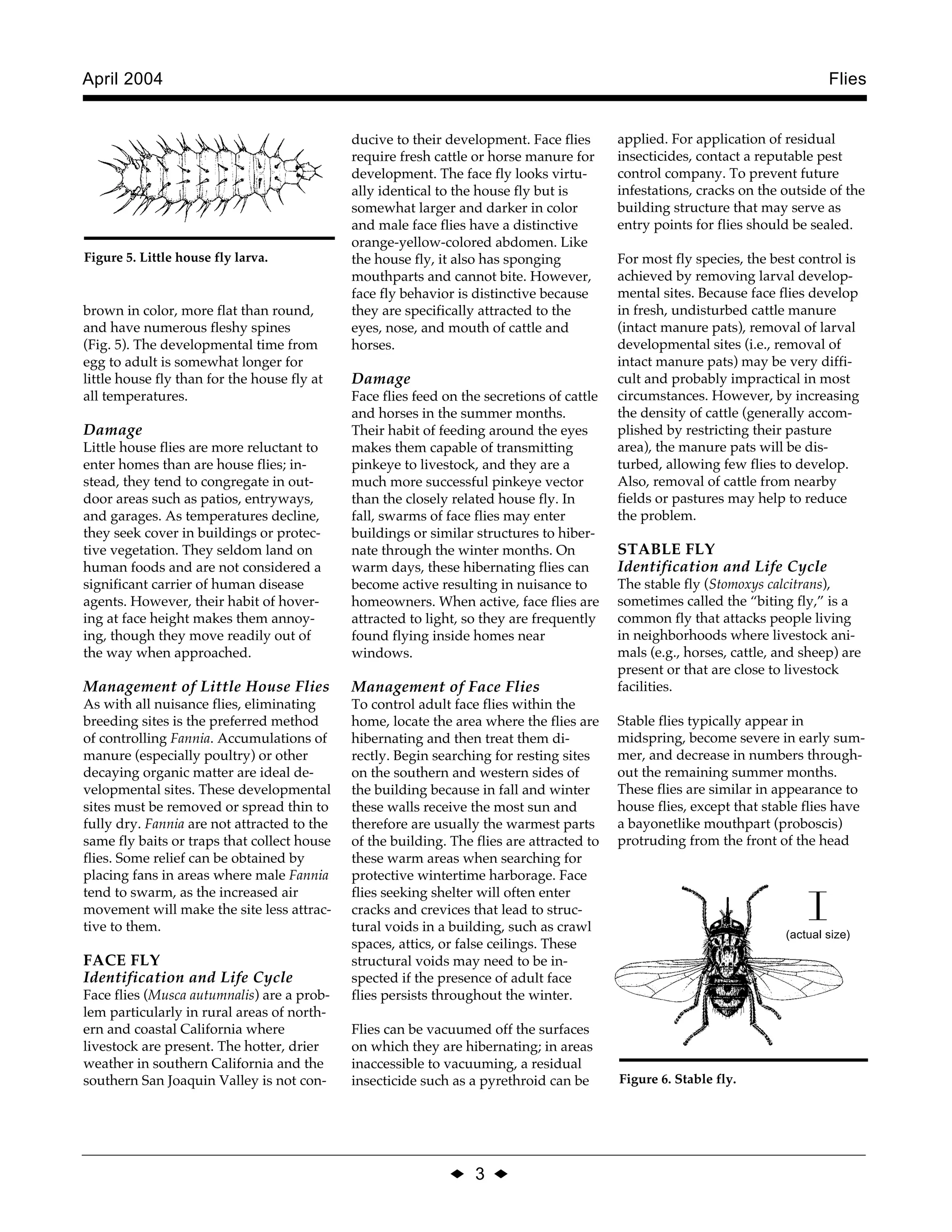 Flies Integrated Pest Management | PDF