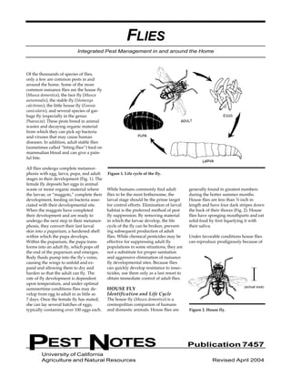 Flies Integrated Pest Management | PDF