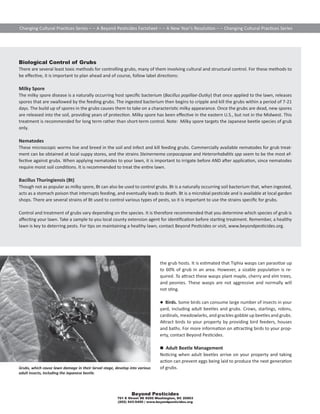 Grubs Natural Pest Control | PDF | Gardening | Home & Garden