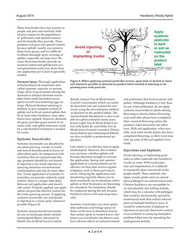 Hackberry Woolly Aphids Integrated Pest Management | PDF