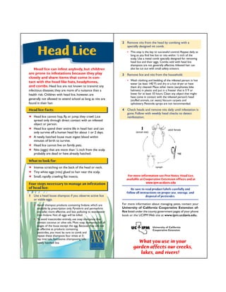 Head Lice Diagnosis Code