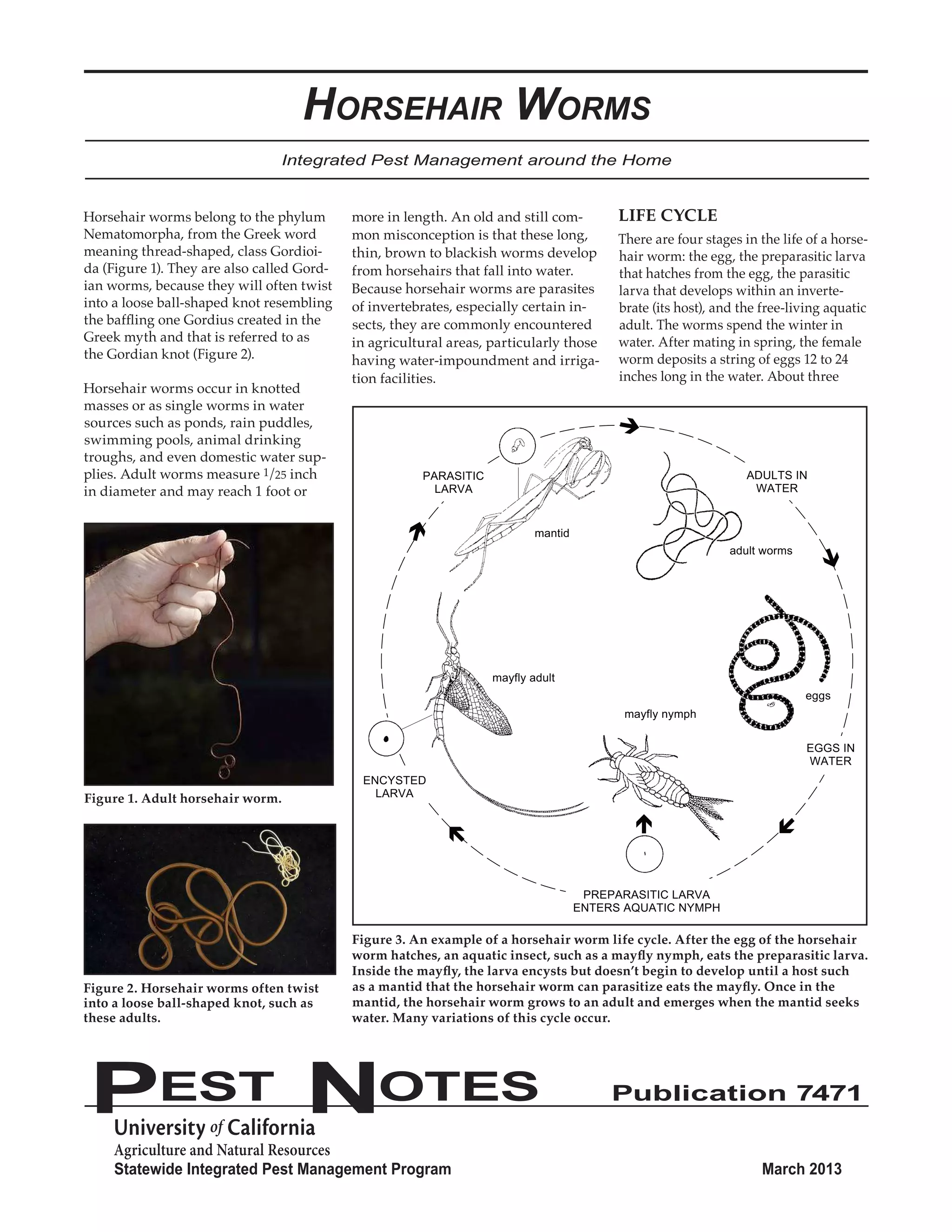 Horsehair Worms Integrated Pest Management | PDF