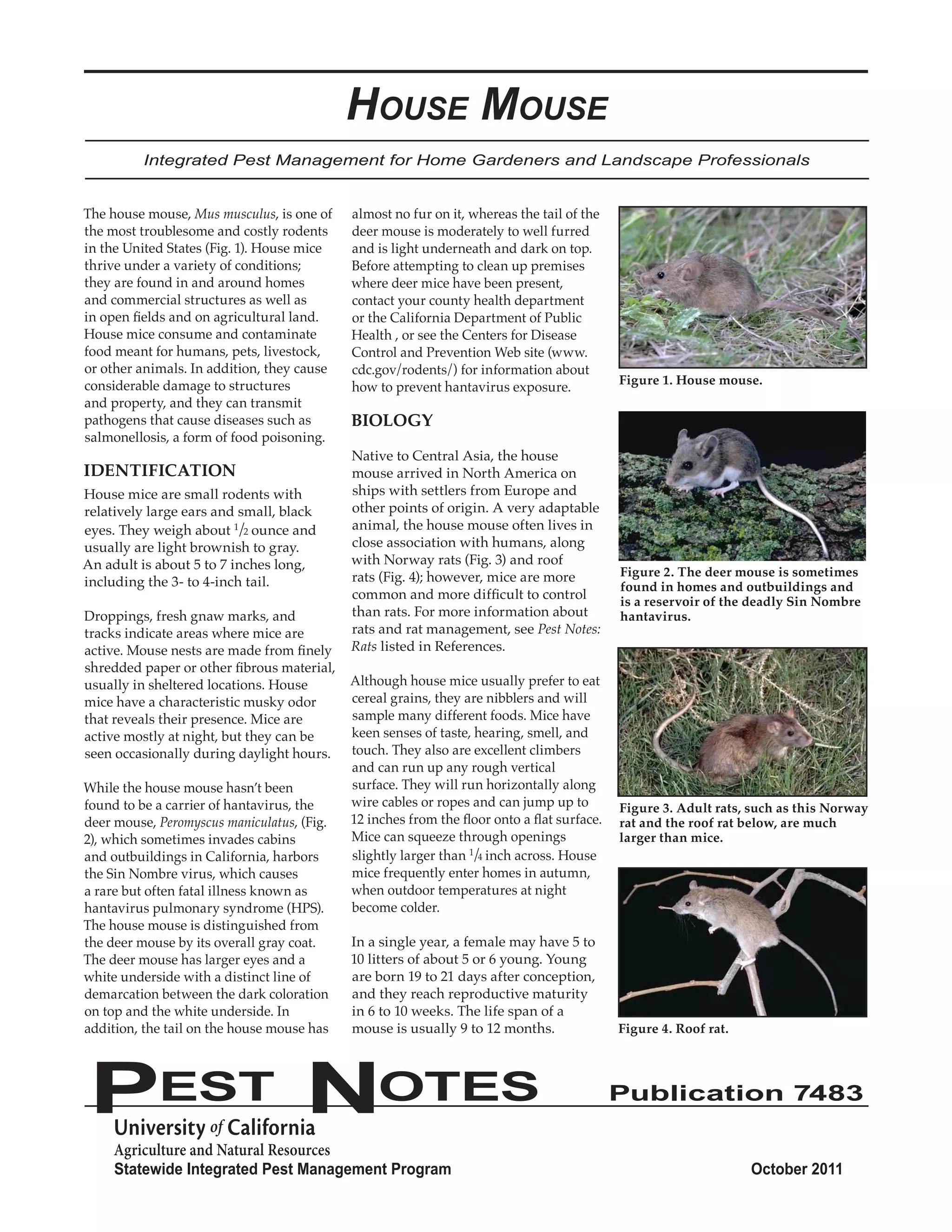 House Mouse Integrated Pest Management | PDF