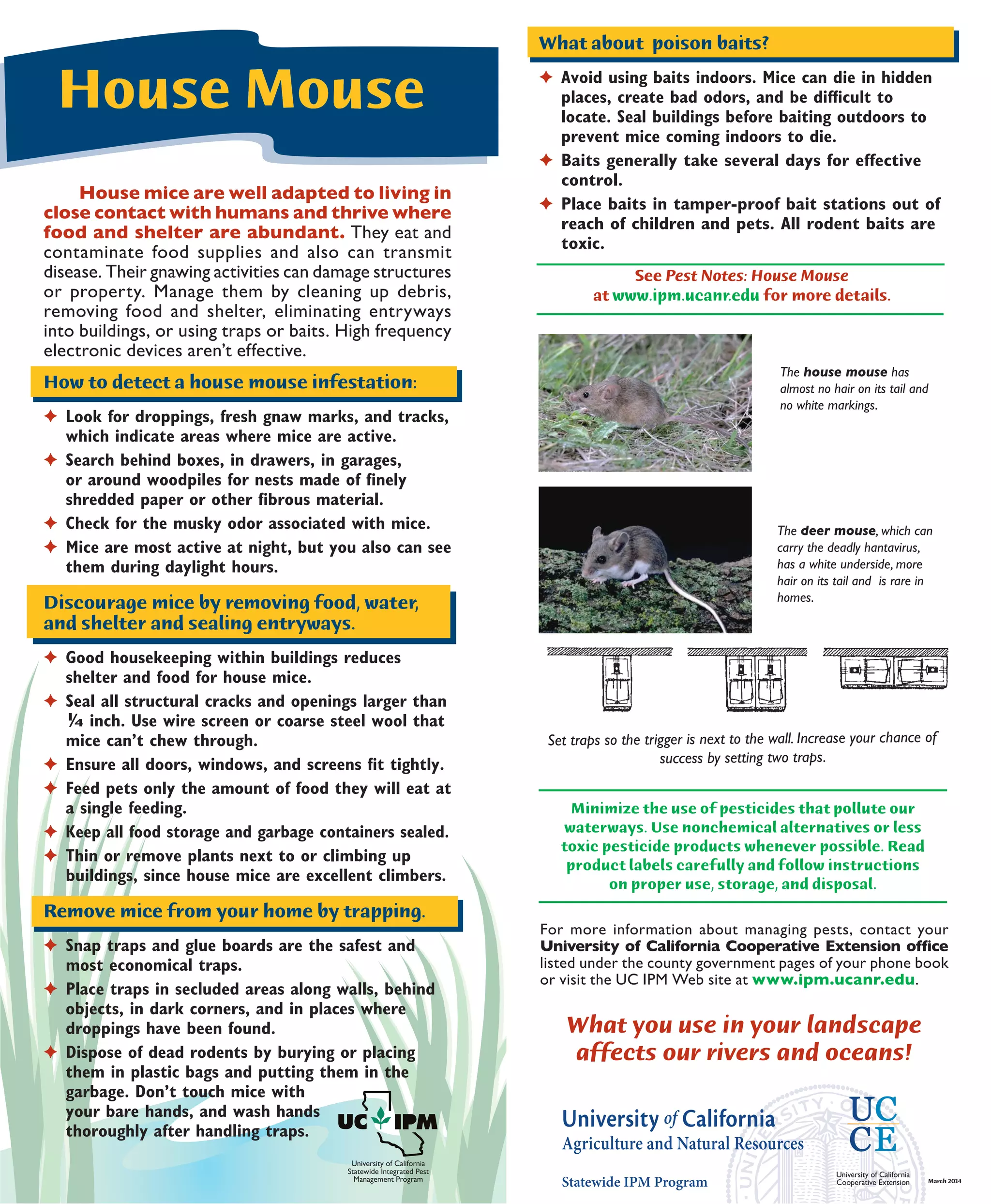 House Mouse Quick Tips Natural Pest Control | PDF