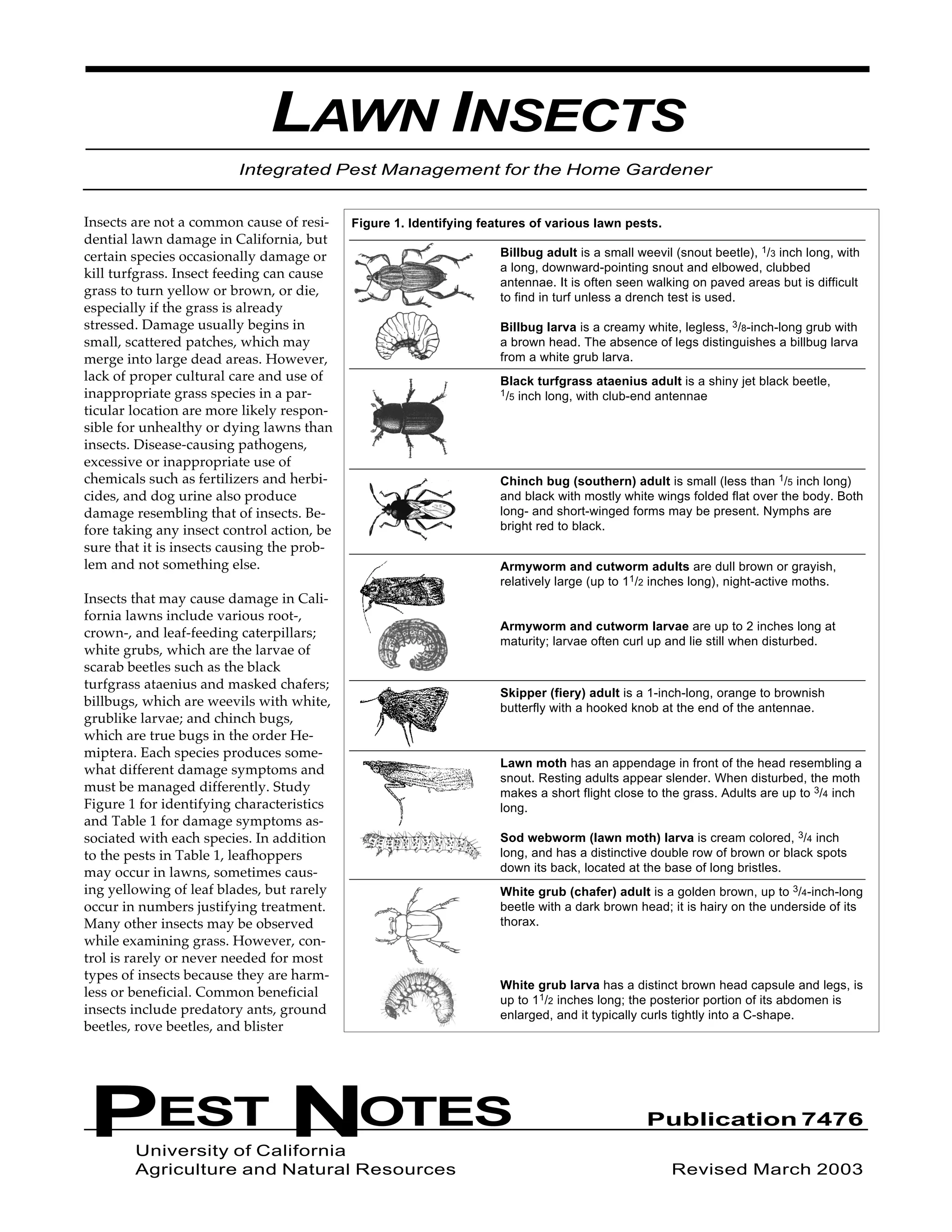 Lawn Insects Integrated Pest Management | PDF