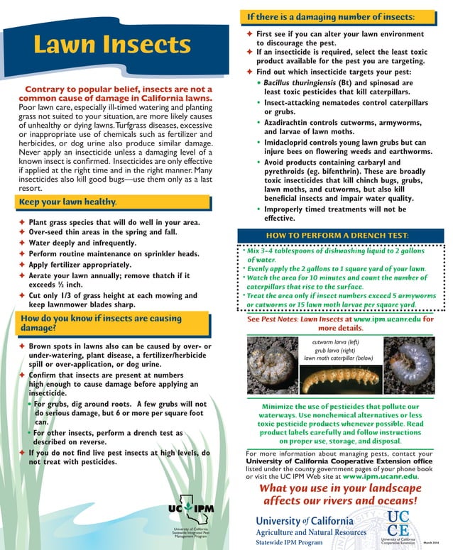 Lawn Insects Quick Tips Natural Pest Control | PDF