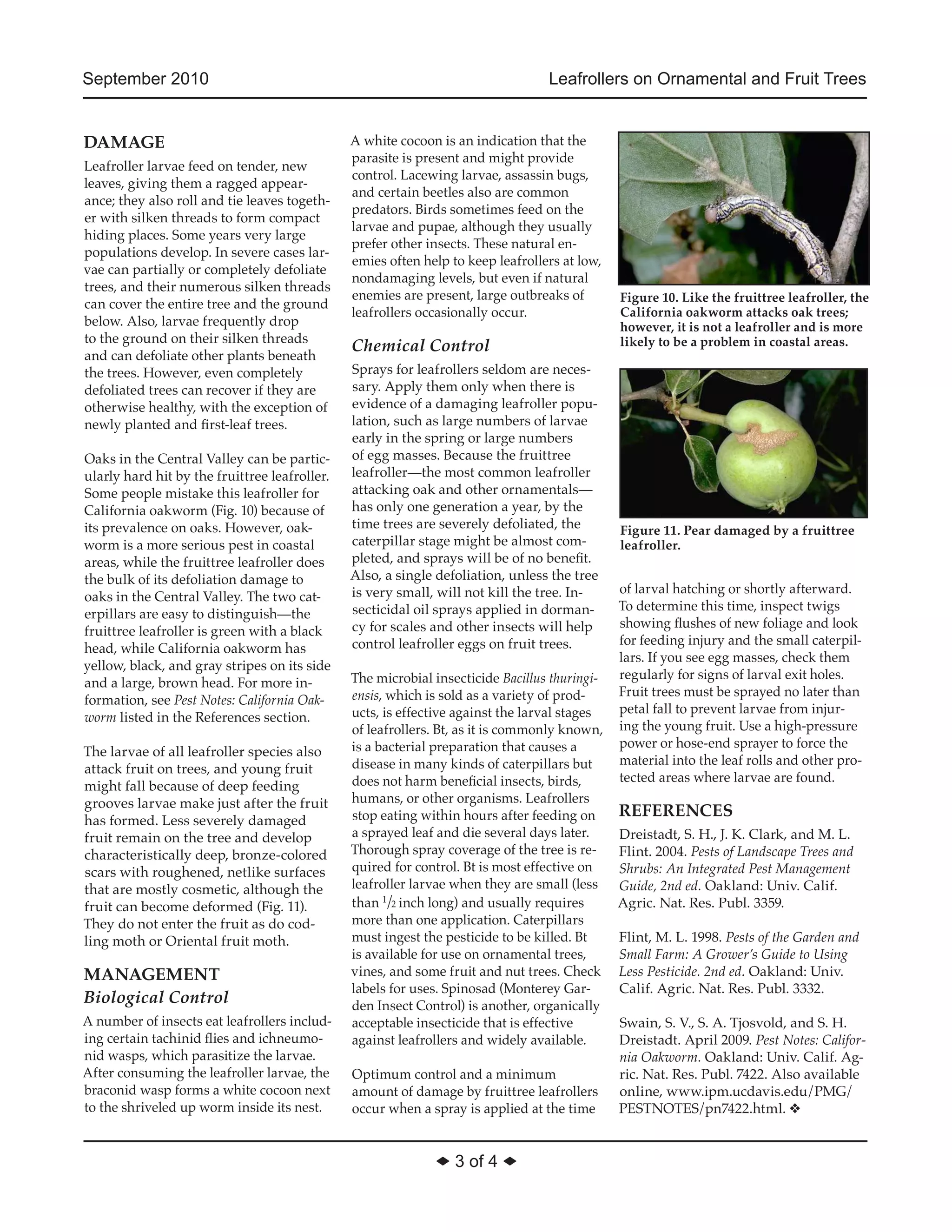 Leafrollers on Ornamental and Fruit Trees Integrated Pest Management | PDF
