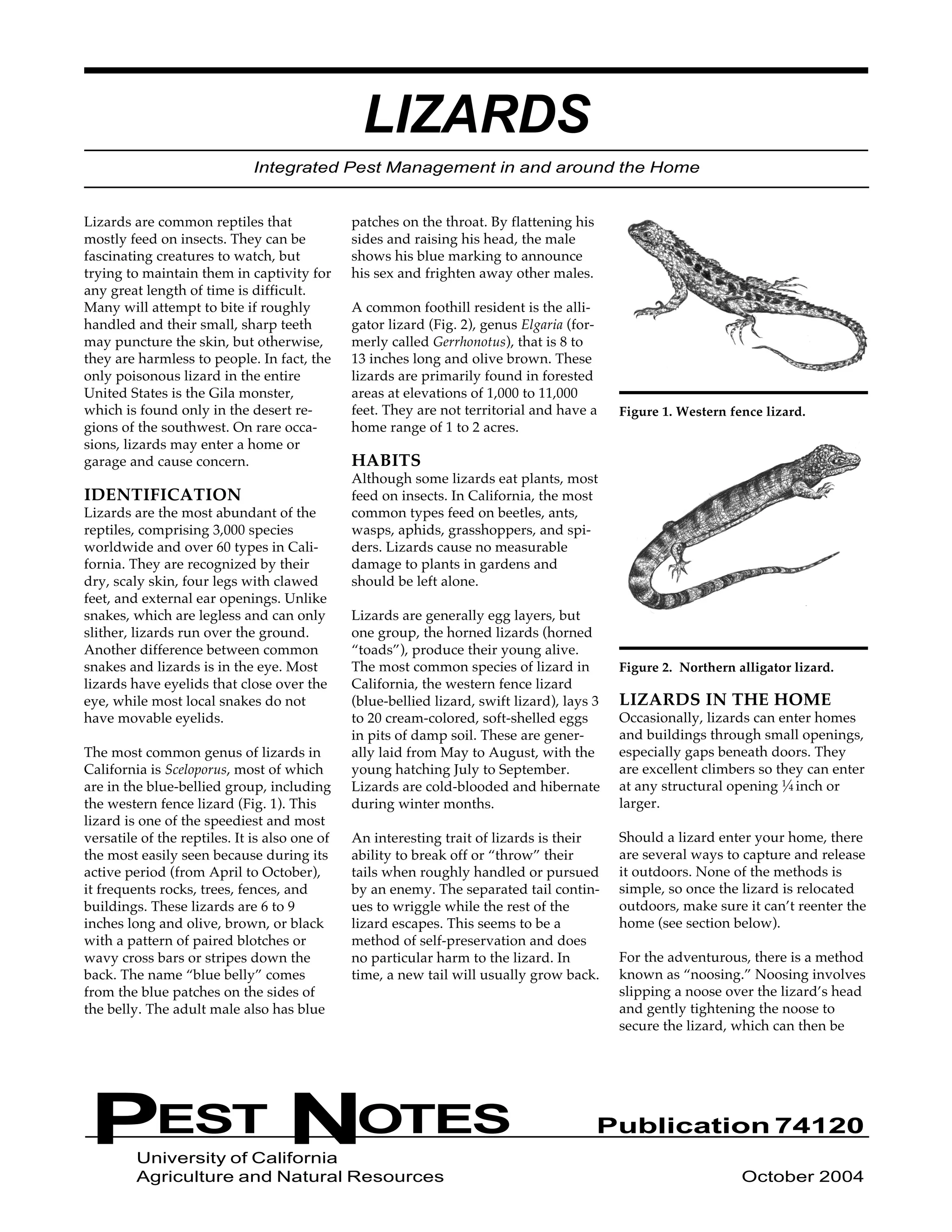 Lizards Integrated Pest Management | PDF