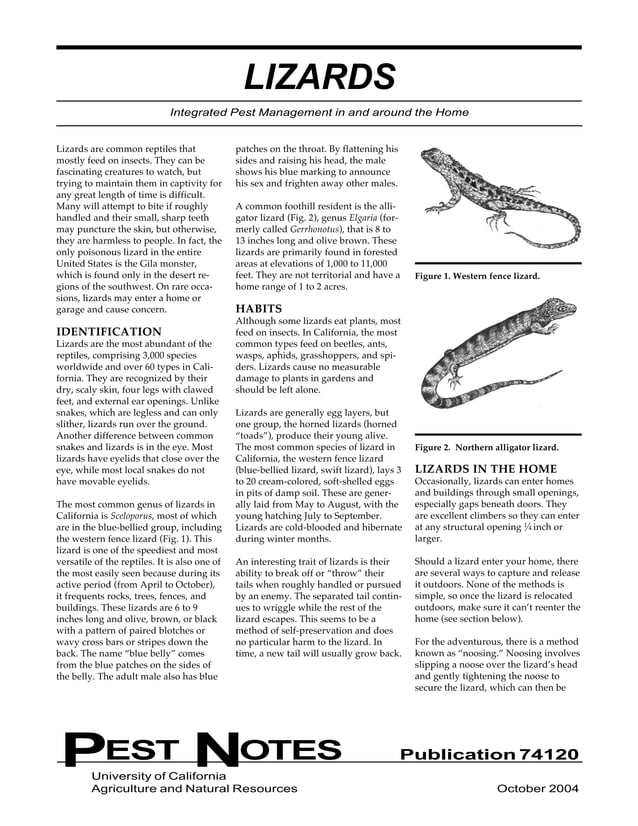 Lizards Integrated Pest Management | PDF