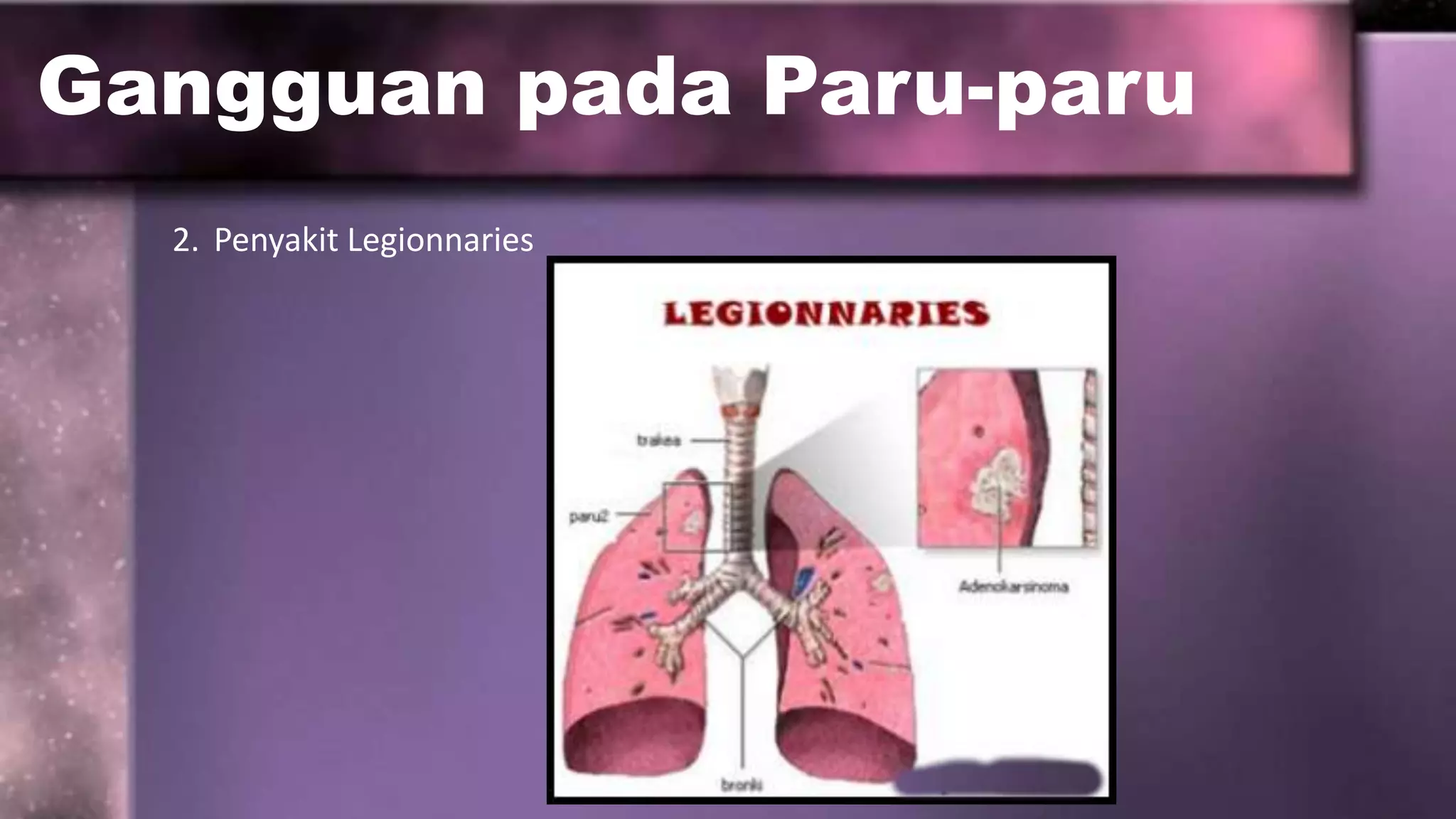 Sistem ekskresi pada paru paru | PPT