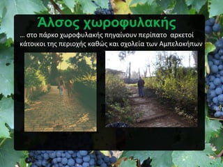 Άλσος Χωροφυλακής (Αμπελόκηποι Αθήνας) | PPT