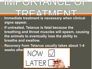 Tetanus | PPTX