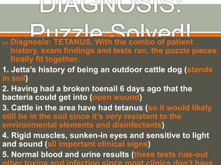 Tetanus | PPTX