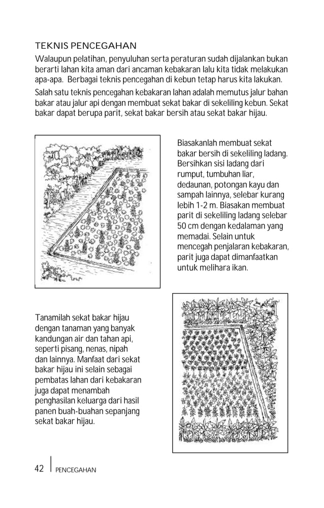 Mengelola Bencana Kebakaran Lahan dan Hutan | PDF