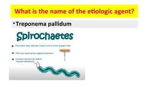 Syphilis: Oral Manifestations and Dental Considerations | PPT
