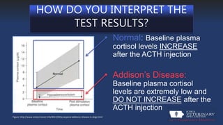 Canine Hypoadrenocorticism | PPTX