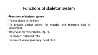 SKELETAL SYSTEM MEAT HYGIENE FOR EHOS.pptx
