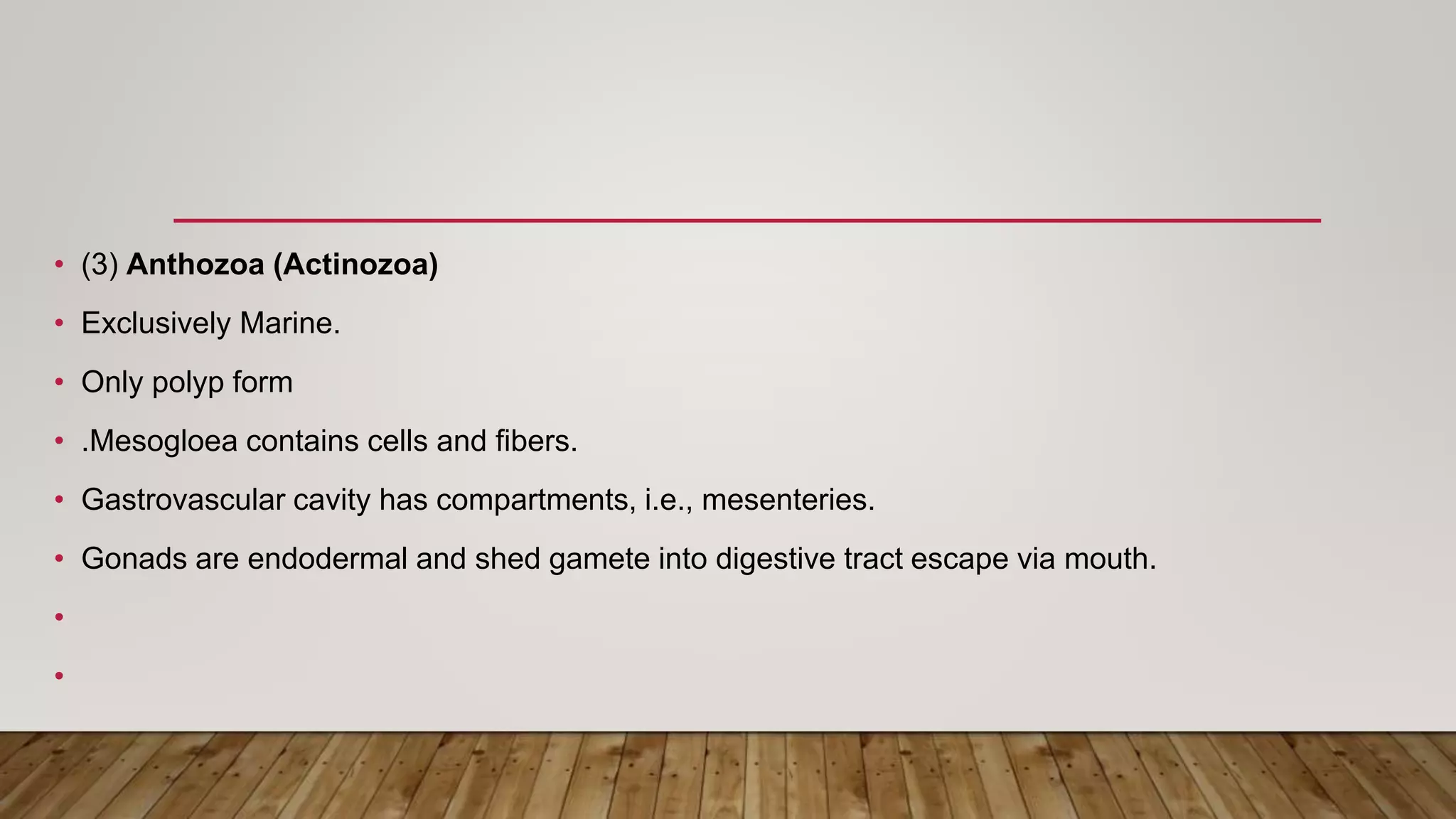 Classification of phylum Cnidaria upto class | PPTX