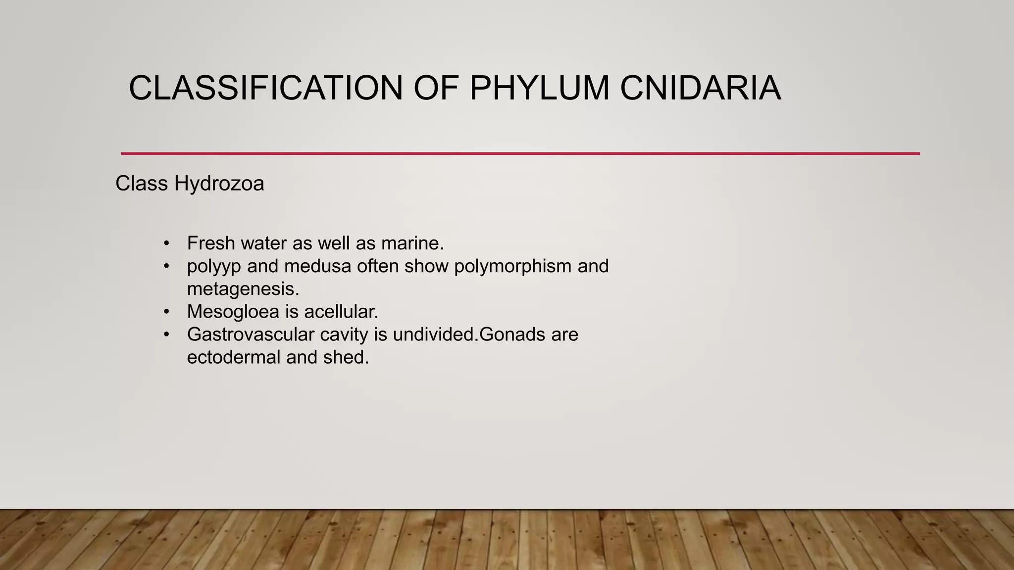 Classification of phylum Cnidaria upto class | PPTX