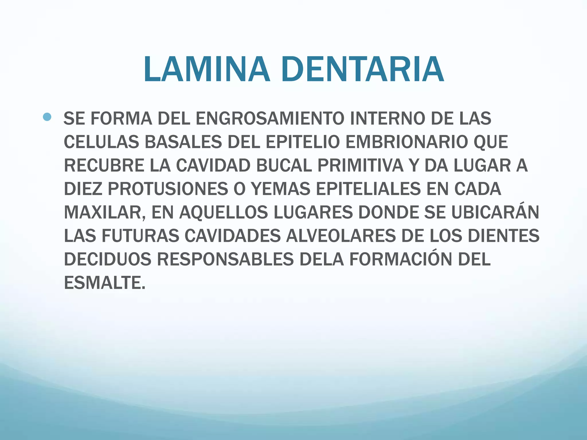 Odontología: Embriología e Histología Dental Odontogenesis | PPTX