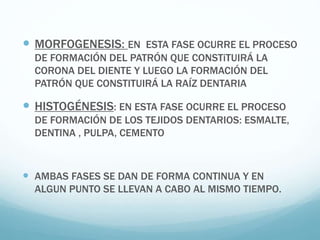 Odontología: Embriología e Histología Dental Odontogenesis | PPTX