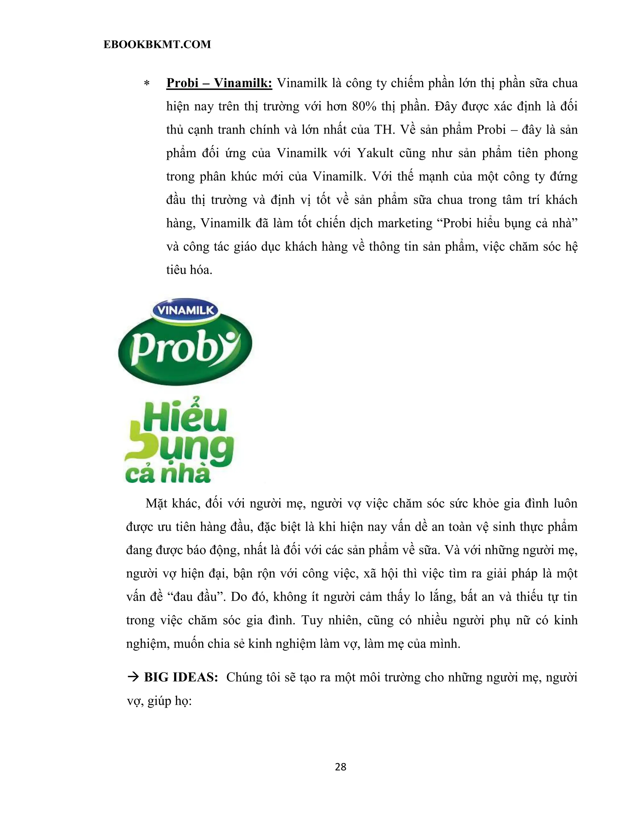 Xây dựng chiến dịch Digital marketing cho sản phẩm sữa chua TH True ...