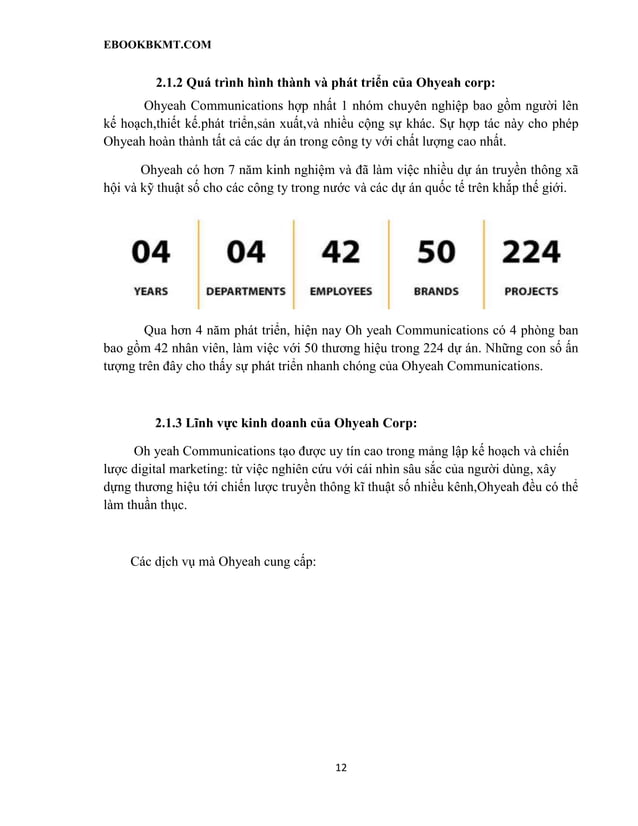 Xây dựng chiến dịch Digital marketing cho sản phẩm sữa chua TH True Yogurt - tải tại sividoc.com ...