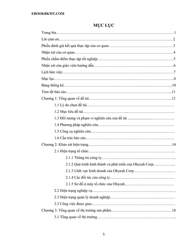 Xây dựng chiến dịch Digital marketing cho sản phẩm sữa chua TH True Yogurt - tải tại sividoc.com ...