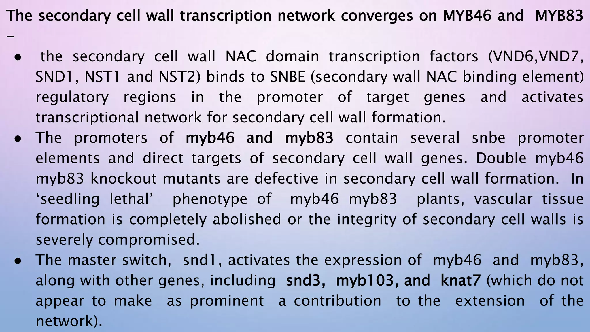 Xyelm differentiation | PPTX