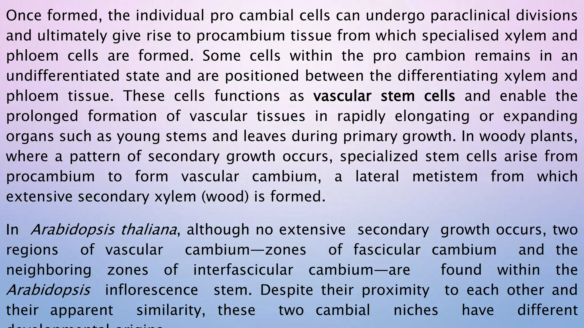 Xyelm differentiation | PPTX