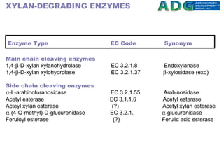 Xylan-Degrading Enzymes: Application Prospects | PPT