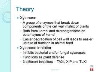 Xylanase Presentation For Thesis | PPTX