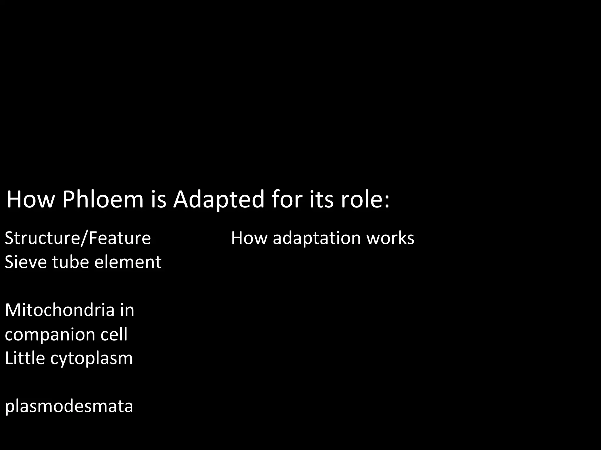 Xylem and phloem lesson 2 | PPT