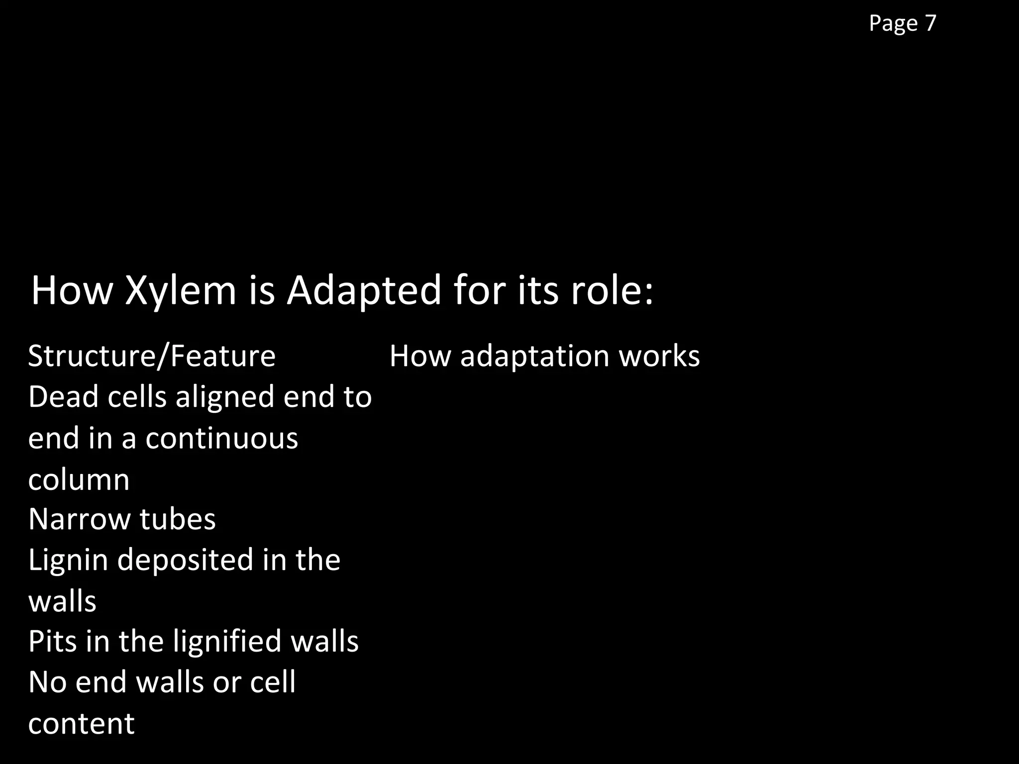 Xylem and phloem lesson 2 | PPT