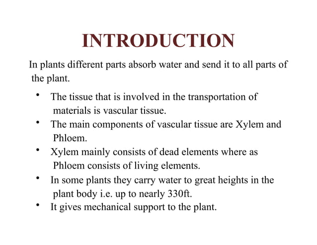 Xylem and Phloem, their categories and their difference .pptx