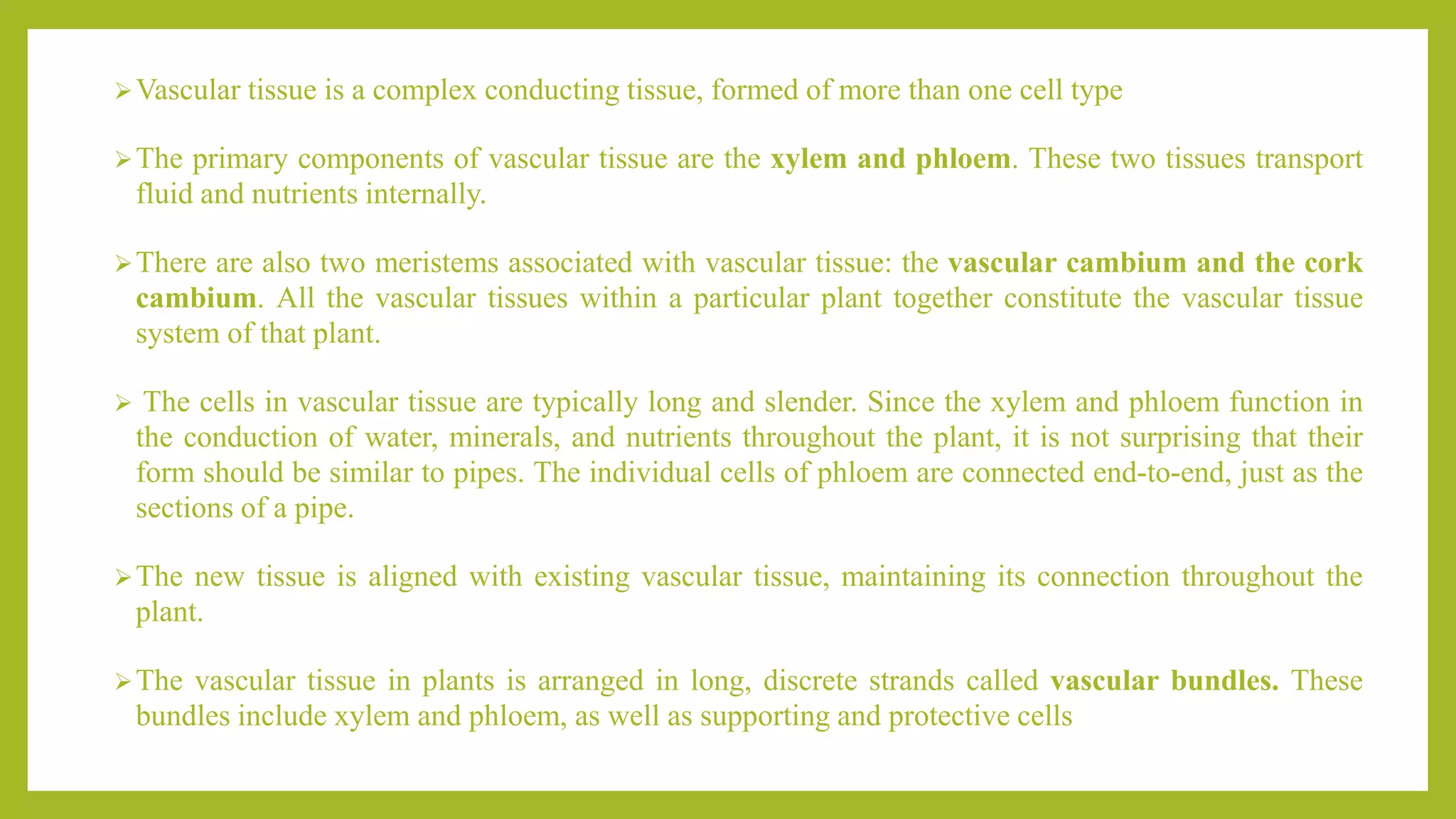 Xylem Part -1.pptx