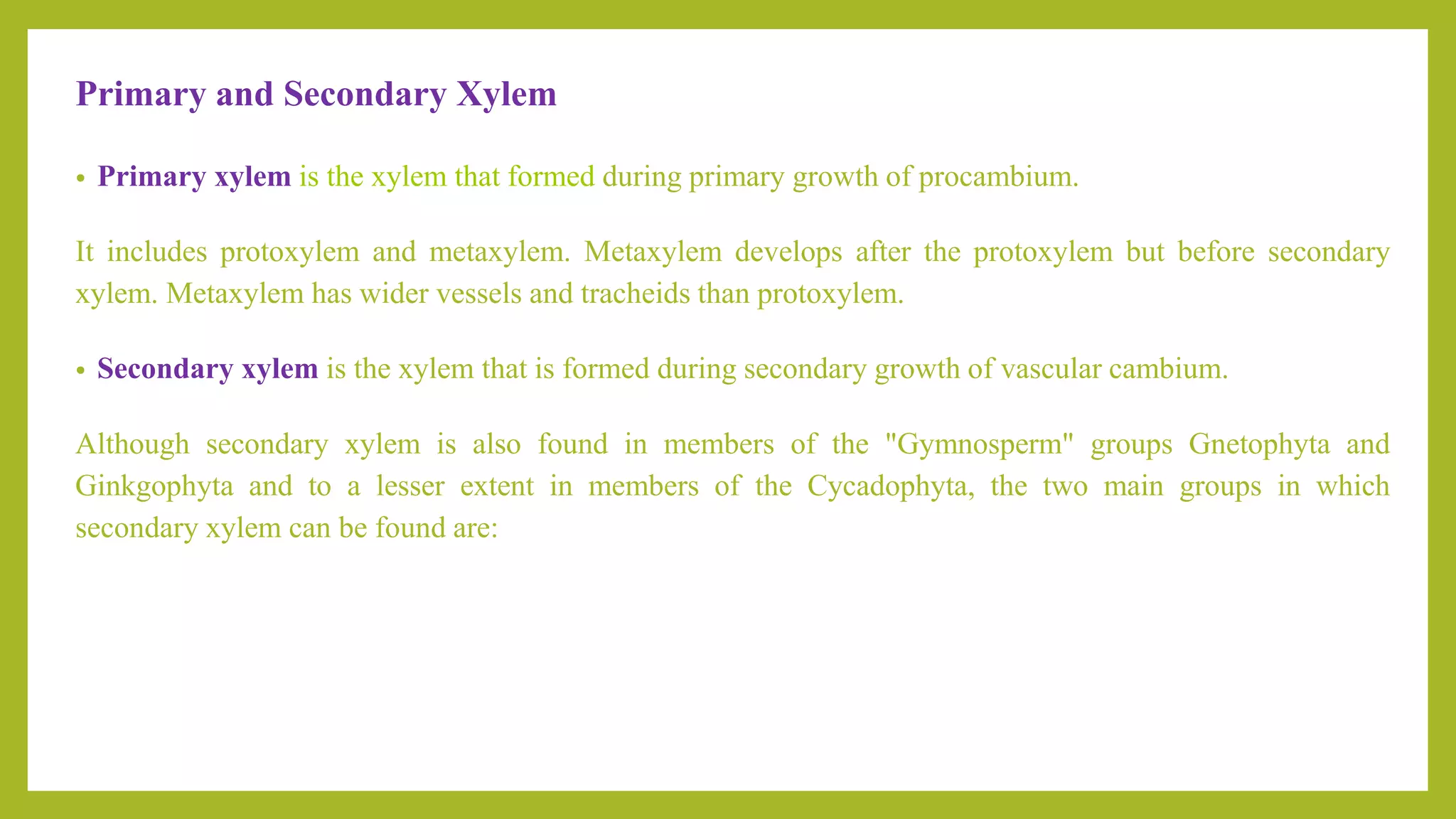 Xylem Part -1.pptx