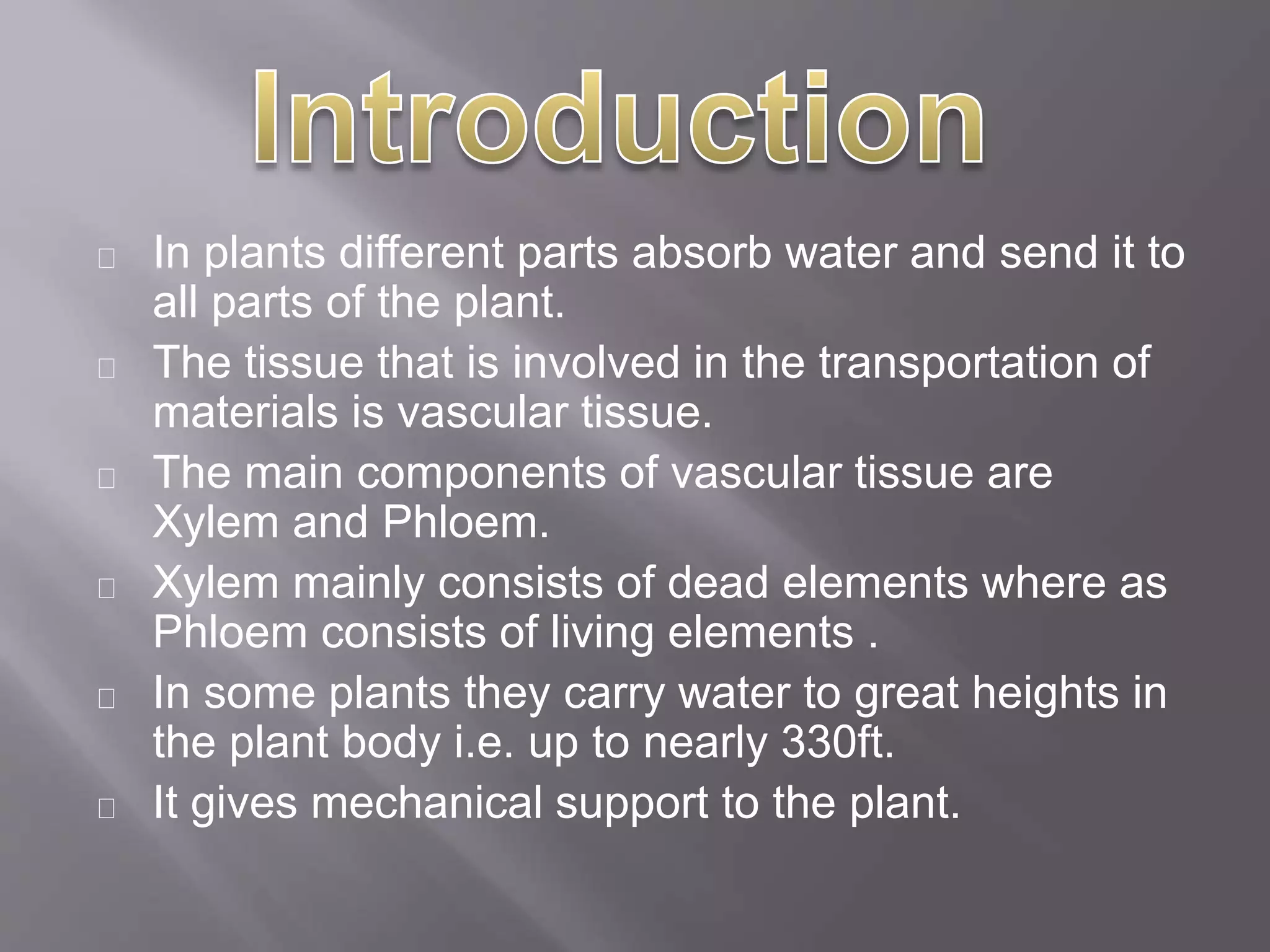 Xylem phloem | PPTX