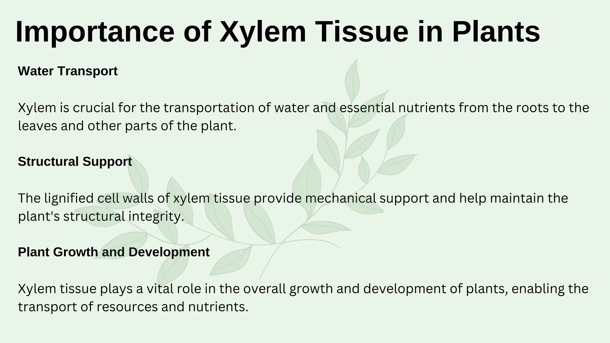 Xylem Tissue a type of vascular Tissue in plants. pdf | PDF