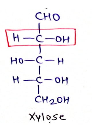 Xylose | PDF | Science