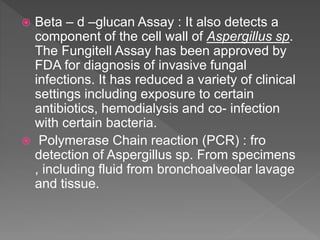 4068 aspergillosis sheena m sc ii | PPTX