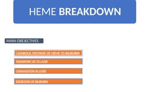 Heme metabolismmbbs1styearmetabolims.pptx