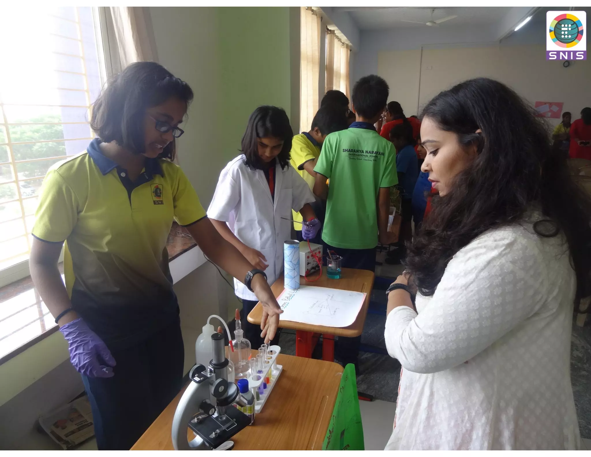 PBL- MYP science activity | PDF