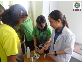 PBL- MYP science activity | PDF